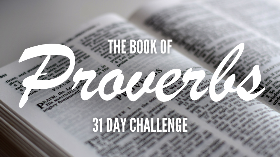 The Book Of Proverbs 31 Day Challengejuly 1 31